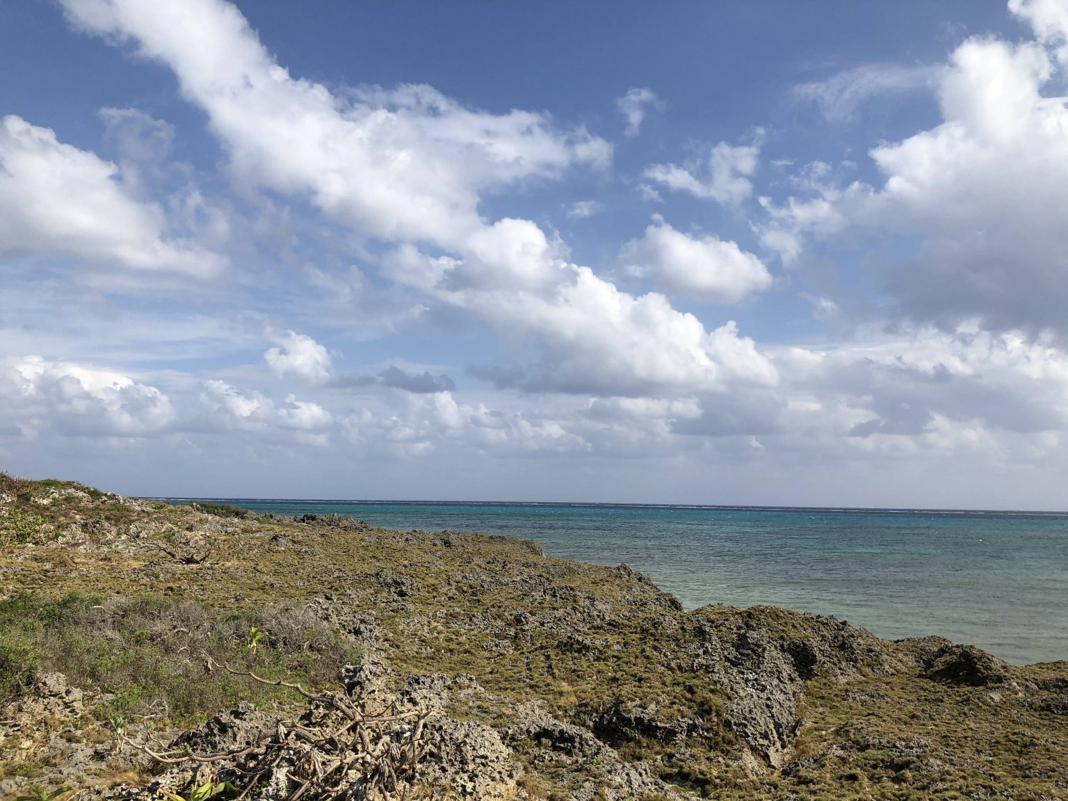 November 5, 2019 – (11) Kuroshima – Kuroshima Todai – 9 of 12 – SecretNest