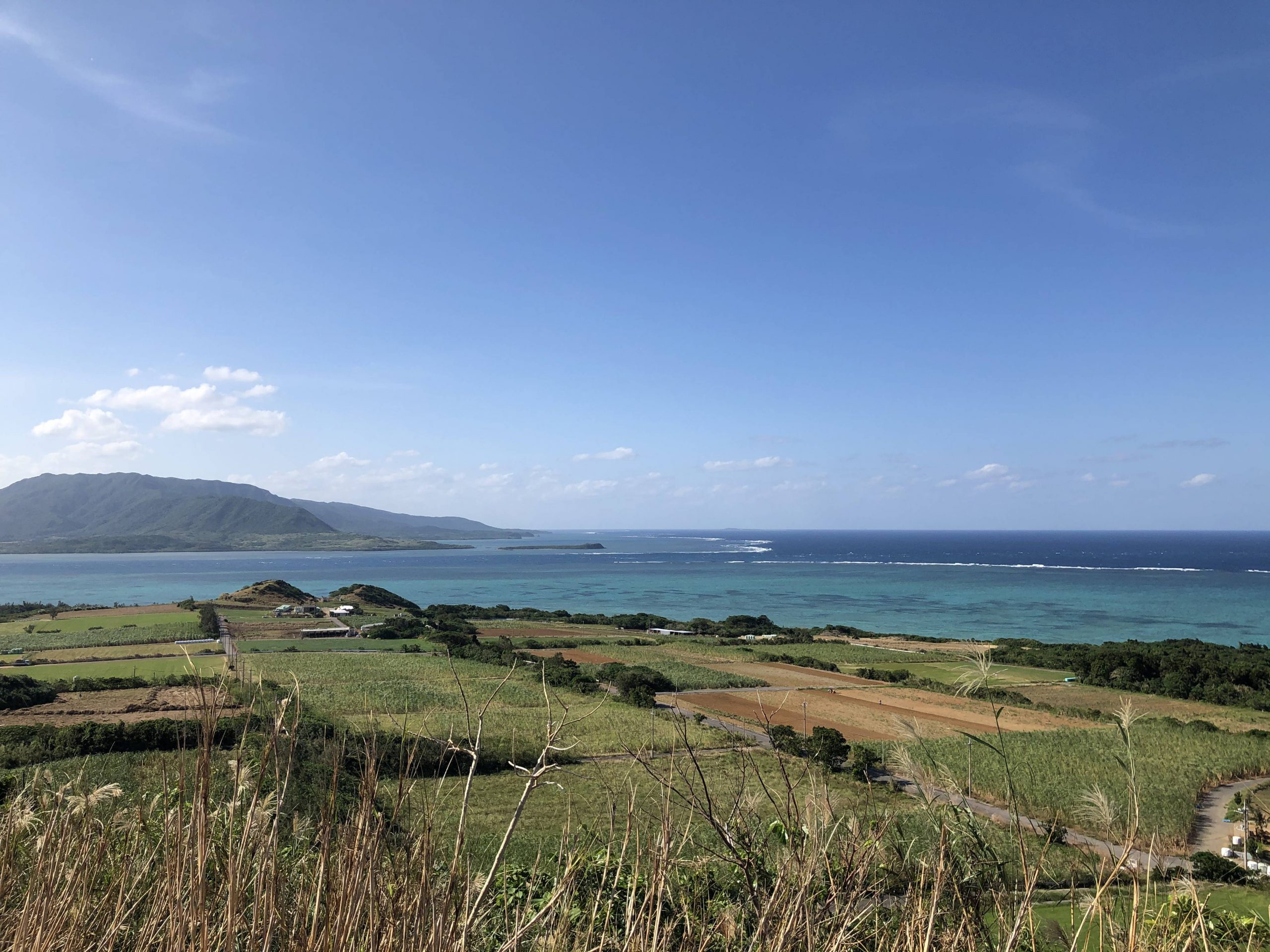 Iriomotejima, Yubu Island and Kohama Island Package Tour Full-day ...