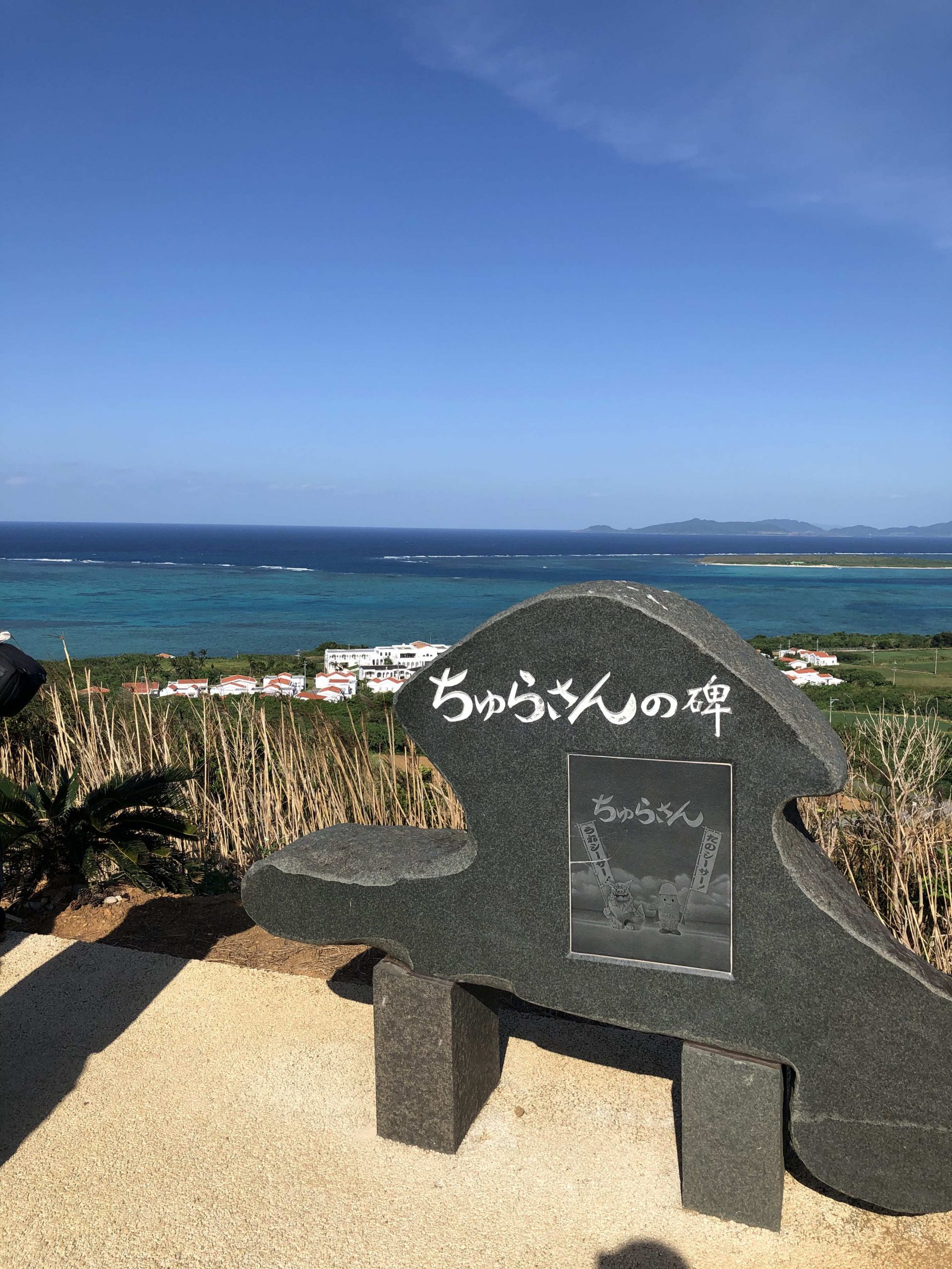 Iriomotejima, Yubu Island and Kohama Island Package Tour Full-day ...